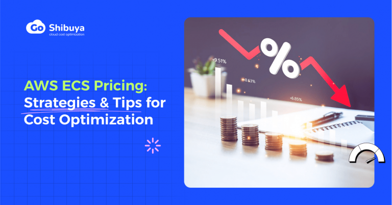 AWS ECS Pricing Guide [+Tips for Cost Optimization] - Shibuya